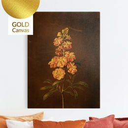 Bilderwelten Leinwandbild - Hochformat Barbara Regina Dietzsch - Eine rosa Garten-Levkkoje