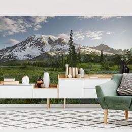 Bilderwelten Fototapete Blumen Landhaus Wandtapete gr&uuml;n - Bergblick Wiesenpfad - Blumenwiese Wohnzimmer Schlafzimmer