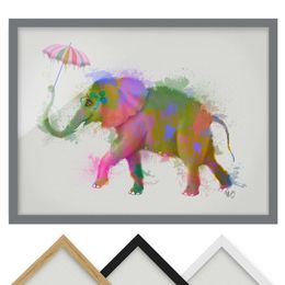 Bilderwelten Bild mit Rahmen - Querformat Regenbogen Splash Elefant
