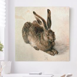 Bilderwelten Leinwandbild Tiere Vintage Kunstdruck Leinwanddruck - Albrecht D&uuml;rer - Junger Feldhase - Retro XXL Wohnzimmer Schlafzimmer