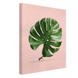 Bilderwelten Leinwandbild Tiere Tropisch Kunstdruck gr&uuml;n - Ameise mit Monstera Blatt - Wandbild XXL Wohnzimmer Schlafzimmer
