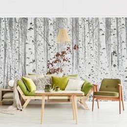 Bilderwelten Fototapete Wald Landhaus Wandtapete weiss - Birken im Herbst - B&auml;ume Wohnzimmer Schlafzimmer