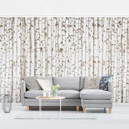 Bilderwelten Tapete - Fototapete Birken 3D Birkenwald - Birkentapete - Wald Baumst&auml;mme Wald B&auml;ume Vliestapete, Schlafzimmer Wohnzimmer K&uuml;che