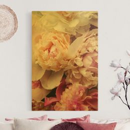 Bilderwelten Leinwandbild - Hochformat Bl&uuml;hende Pfingstrosen