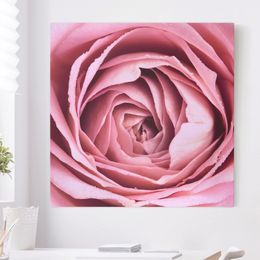 Bilderwelten Leinwandbild Blumen Landhaus Kunstdruck rosa - Rosa Rosenbl&uuml;te - Rose XXL Wohnzimmer Schlafzimmer