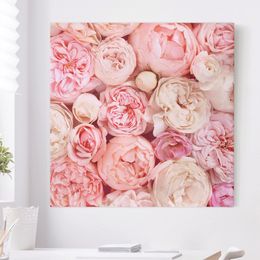 Bilderwelten Leinwandbild - Quadrat Rosen Ros&eacute; Koralle Shabby
