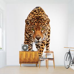 Bilderwelten Tapete - Fototapete Creeping Jaguar - Wandtapete Schlafzimmer Wohnzimmer modern - auch kleisterfrei