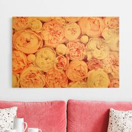 Bilderwelten Leinwandbild - Querformat Rosen Ros&eacute; Koralle Shabby