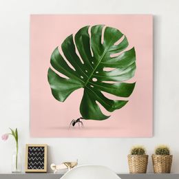 Bilderwelten Leinwandbild Tiere Tropisch Kunstdruck gr&uuml;n - Ameise mit Monstera Blatt - Wandbild XXL Wohnzimmer Schlafzimmer