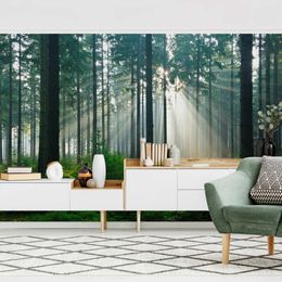 Bilderwelten Fototapete Wald Motiv Wandtapete gr&uuml;n - Enlightened Forest - B&auml;ume Wohnzimmer Schlafzimmer