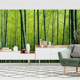 Bilderwelten Fototapete Wald modern 3D-Effekt gr&uuml;n - Bambuswald - B&auml;ume Wohnzimmer Schlafzimmer