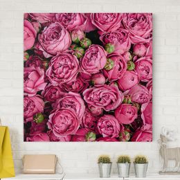 Bilderwelten Leinwandbild - Quadrat Pinke Pfingstrosen
