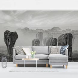 Bilderwelten Fototapete Natur modern Wandtapete schwarz weiss - Elefantenherde - africa Wohnzimmer Schlafzimmer