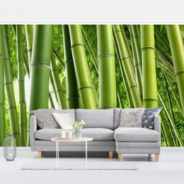 Bilderwelten Fototapete Wald Motiv Wandtapete gr&uuml;n - Bamboo Trees - B&auml;ume Wohnzimmer Schlafzimmer