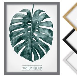 Bilderwelten Bild mit Rahmen - Hochformat Smaragdgr&uuml;ne Monstera Deliciosa