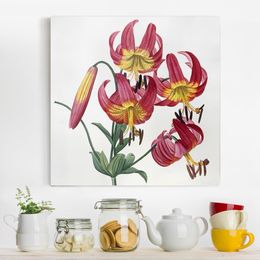 Bilderwelten Leinwandbild Blumen Vintage Kunstdruck pink - Pierre Joseph Redout&eacute; - T&uuml;rkenbundlilie - Retro XXL Wohnzimmer Schlafzimmer