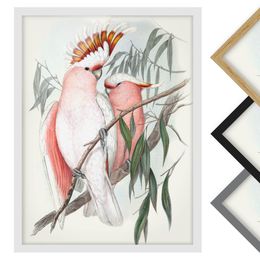 Bilderwelten Bild mit Rahmen Tiere beige Vintage Aquarell - Pastell Papageien I - Retro Wohnzimmer Schlafzimmer