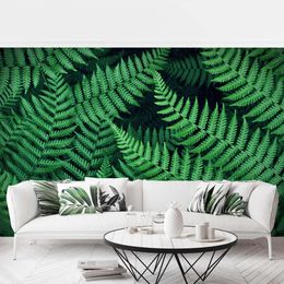 Bilderwelten Fototapete Blumen Tropisch Wandtapete gr&uuml;n - Farn - Gr&auml;ser Wohnzimmer Schlafzimmer
