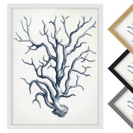 Bilderwelten Bild mit Rahmen Strand blau Illustration inkl. Rahmung - Strandgut in Navy IV - Deko Wohnzimmer Schlafzimmer