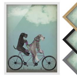 Bilderwelten Bild mit Rahmen Tiere blau Vintage inkl. Rahmung - Radtour - Schnauzer Tandem - Retro Wohnzimmer Schlafzimmer