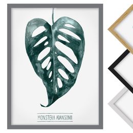 Bilderwelten Bild mit Rahmen - Hochformat Smaragdgr&uuml;ne Monstera Adansonii