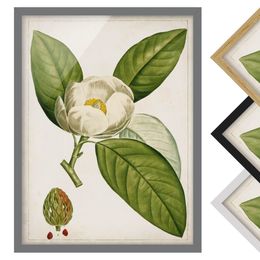 Bilderwelten Bild mit Rahmen - Hochformat Tableau Blatt Bl&uuml;te Frucht II