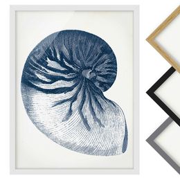 Bilderwelten Bild mit Rahmen Strand blau Illustration inkl. Rahmung - Strandgut in Navy V - Deko Wohnzimmer Schlafzimmer