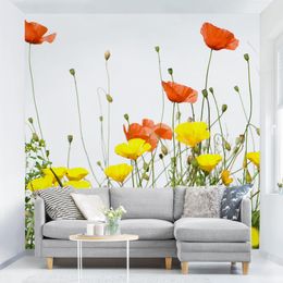 Bilderwelten Tapete - Fototapete Blumen - Duo of Flowers Teil 2 - Blumentapete Wandtapete Schlafzimmer Wohnzimmer modern - auch selbstklebend