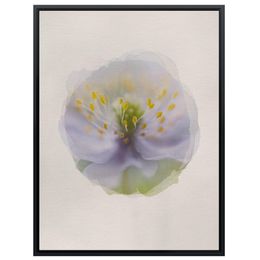 Bilderwelten Leinwandbild - Hochformat Wasserfarben - Anemonen Sch&ouml;nheit