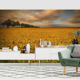 Bilderwelten Fototapete Blumen Motiv Wandtapete gelb - Feld mit Sonnenblumen - Sonnenblumen Wohnzimmer Schlafzimmer