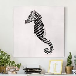 Bilderwelten Leinwandbild - Quadrat Seepferdchen mit Zebrastreifen