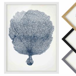 Bilderwelten Bild mit Rahmen Strand blau Illustration inkl. Rahmung - Strandgut in Navy VI - Deko Wohnzimmer Schlafzimmer