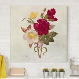 Bilderwelten Leinwandbild Blumen Vintage Kunstdruck pink - Pierre Joseph Redout&eacute; - Christrosen - Retro XXL Wohnzimmer Schlafzimmer