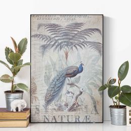 Akustik-Wechselbild Shabby Chic Collage - Pfau