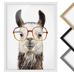 Bilderwelten Bild mit Rahmen Tiere weiss Illustration inkl. Rahmung - Hippes Lama mit Brille IV - Deko Wohnzimmer Schlafzimmer