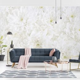 Bilderwelten Fototapete Blumen Motiv Wandtapete weiss - Dahlien Blumenmeer wei&szlig; - Deko Wohnzimmer Schlafzimmer