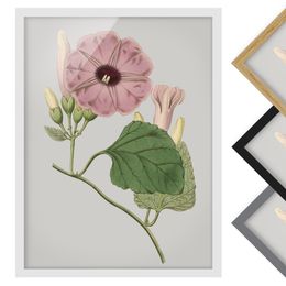 Bilderwelten Bild mit Rahmen Blumen gr&uuml;n Vintage inkl. Rahmung - Florale Schmuckst&uuml;cke III - Pflanzen Wohnzimmer Schlafzimmer