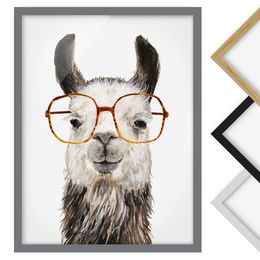 Bilderwelten Bild mit Rahmen - Hochformat Hippes Lama mit Brille IV