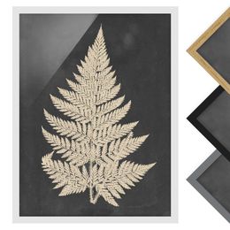 Bilderwelten Bild mit Rahmen Blumen grau Vintage inkl. Rahmung - Farn mit Leinenstruktur I - Pflanzen Wohnzimmer Schlafzimmer