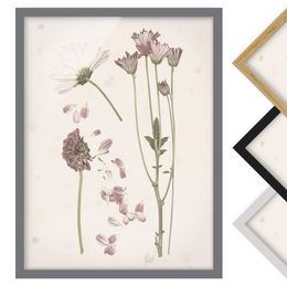 Bilderwelten Bild mit Rahmen - Hochformat Herbarium in rosa II