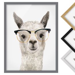 Bilderwelten Bild mit Rahmen - Hochformat Hippes Lama mit Brille I