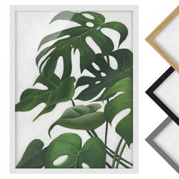 Bilderwelten Bild mit Rahmen - Hochformat Lieblingspflanzen - Monstera