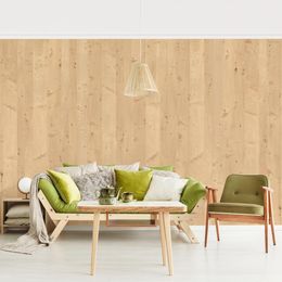 Bilderwelten Fototapete Vliestapete Motiv Holzoptik einzigartig - Apfelbirke - Deko Wohnzimmer Schlafzimmer