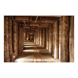 Bilderwelten Fototapete Alte Goldmine