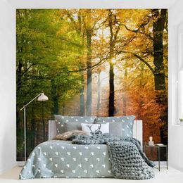 Bilderwelten Fototapete Morning Light