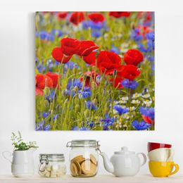Bilderwelten Leinwandbild Blumen Motiv Kunstdruck rot - Sommerwiese mit Mohn und Kornblumen - Mohn XXL Wohnzimmer Schlafzimmer