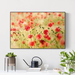Akustik-Wechselbild Summer Poppies