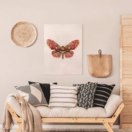 Bilderwelten Leinwandbild Jonas Loose Fotomontage Pop Art Tiere Vintage Motte - Leinwanddruck Hochformat - Wandbild S-XXL - moderne Bilder auf Leinwand Wohnzimmer