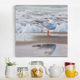 Bilderwelten Leinwandbild Strand Motiv Kunstdruck beige - M&ouml;we am Strand vor Meer - Landschaft XXL Wohnzimmer Schlafzimmer