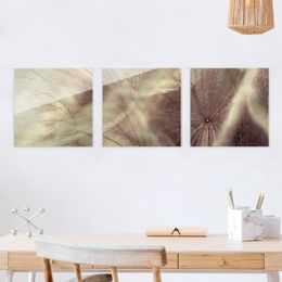 Bilderwelten Glasbild Blumen Vintage beige Glas Wandbild - Detailreiche Pusteblumen Makroaufnahme mit Vintage Blur Effekt - Pusteblume Wohnzimmer Schlafzimmer